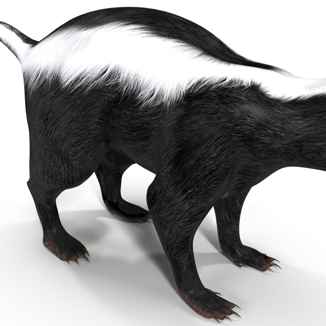 skunk rigged 3d max