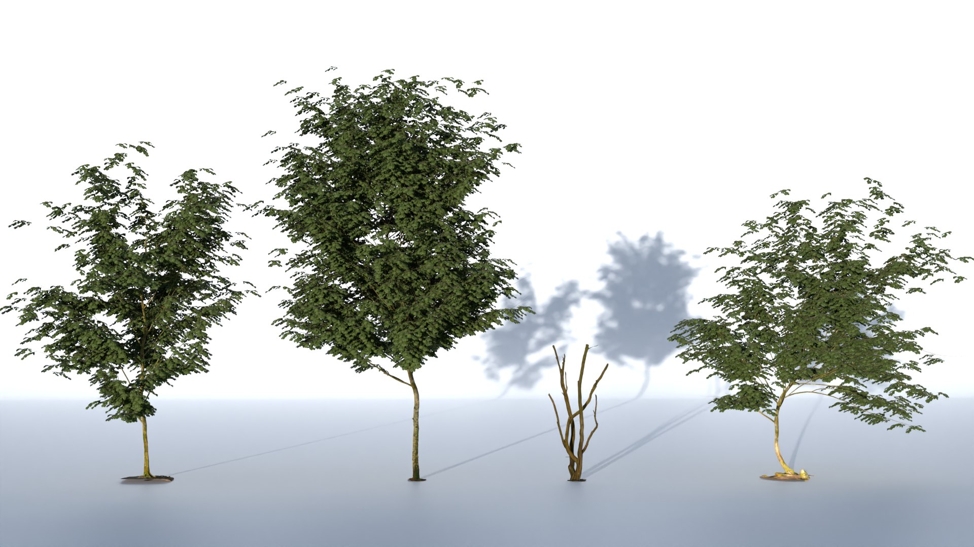 Trees Model - TurboSquid 2213469