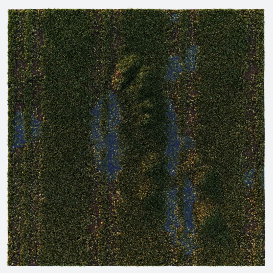 3D Grass Ostap 4 Model - TurboSquid 1888251