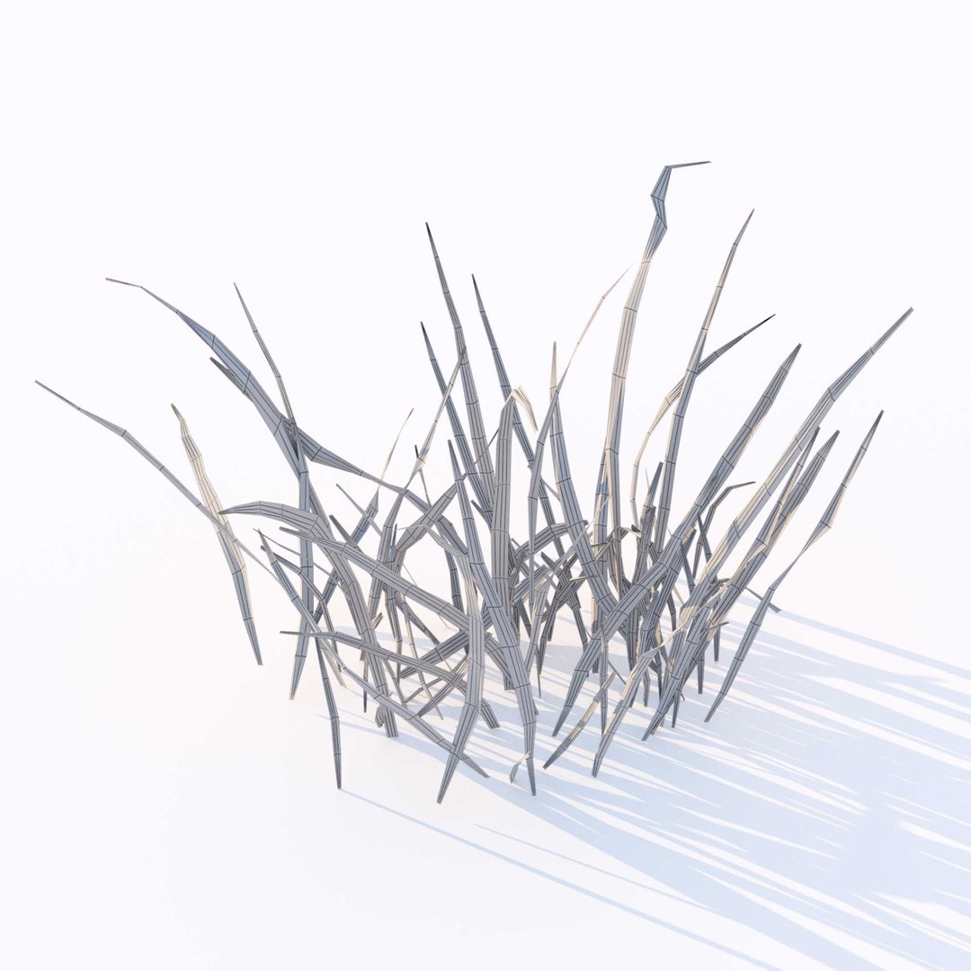 3D Grass Ostap 4 Model - TurboSquid 1888251