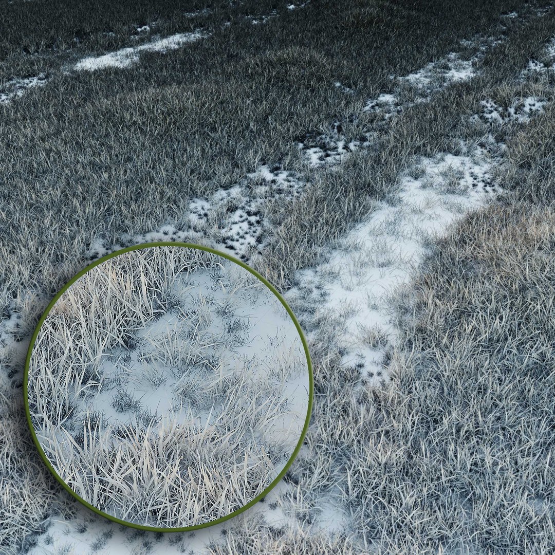 3D Grass Ostap 4 Model - TurboSquid 1888251