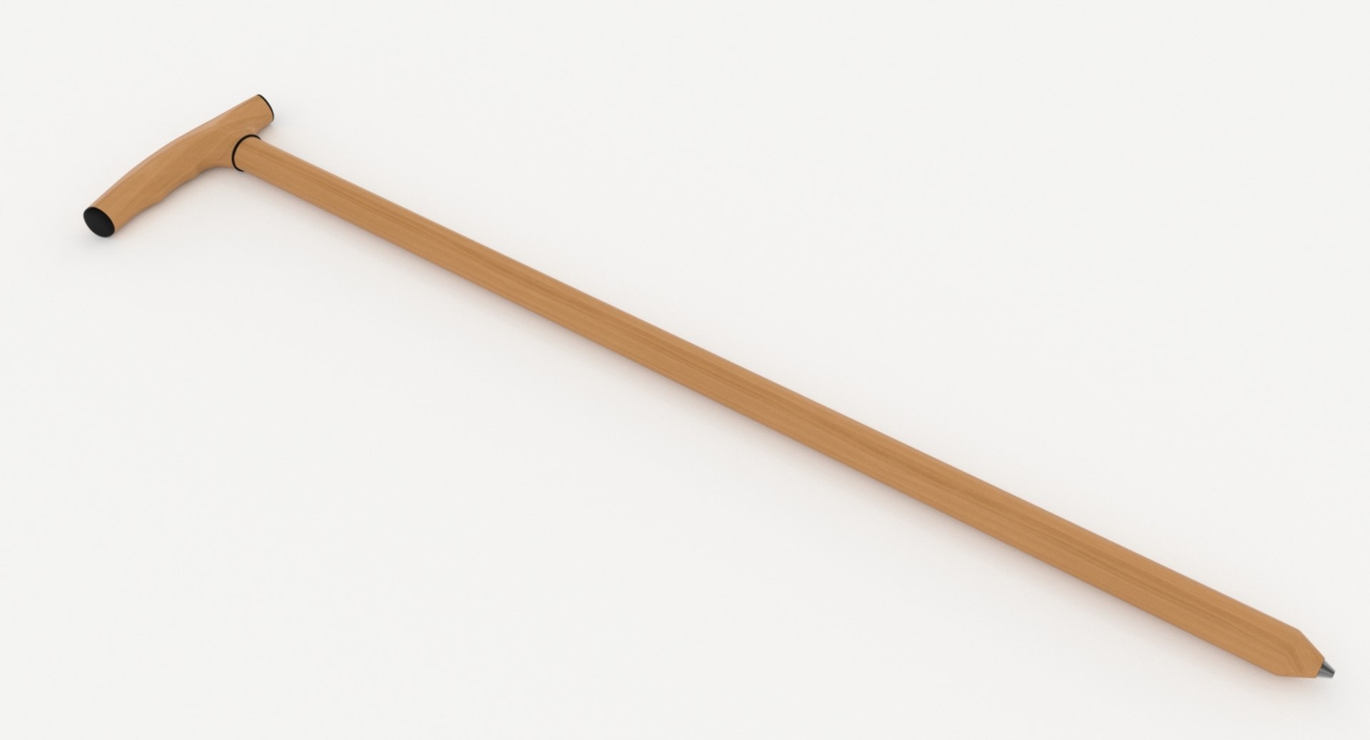 Walking Stick 3d Model