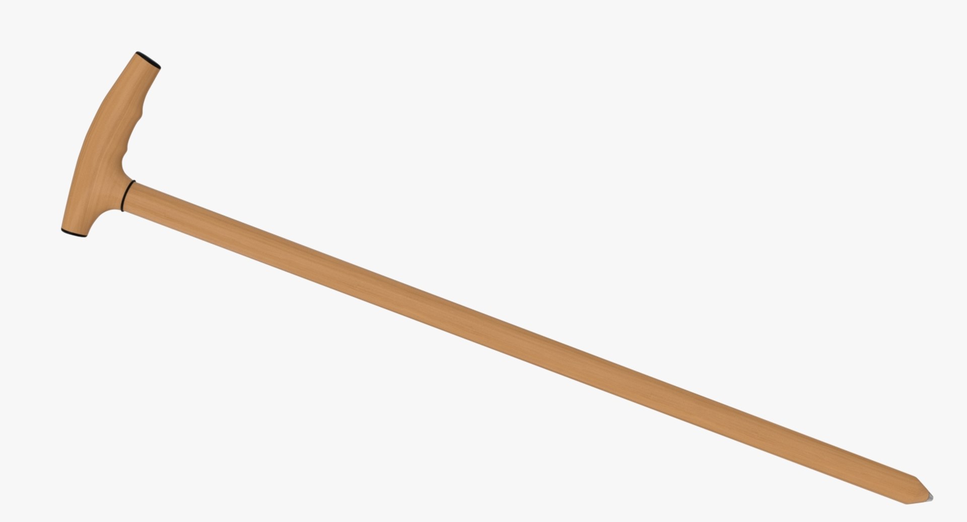 Walking Stick 3d Model