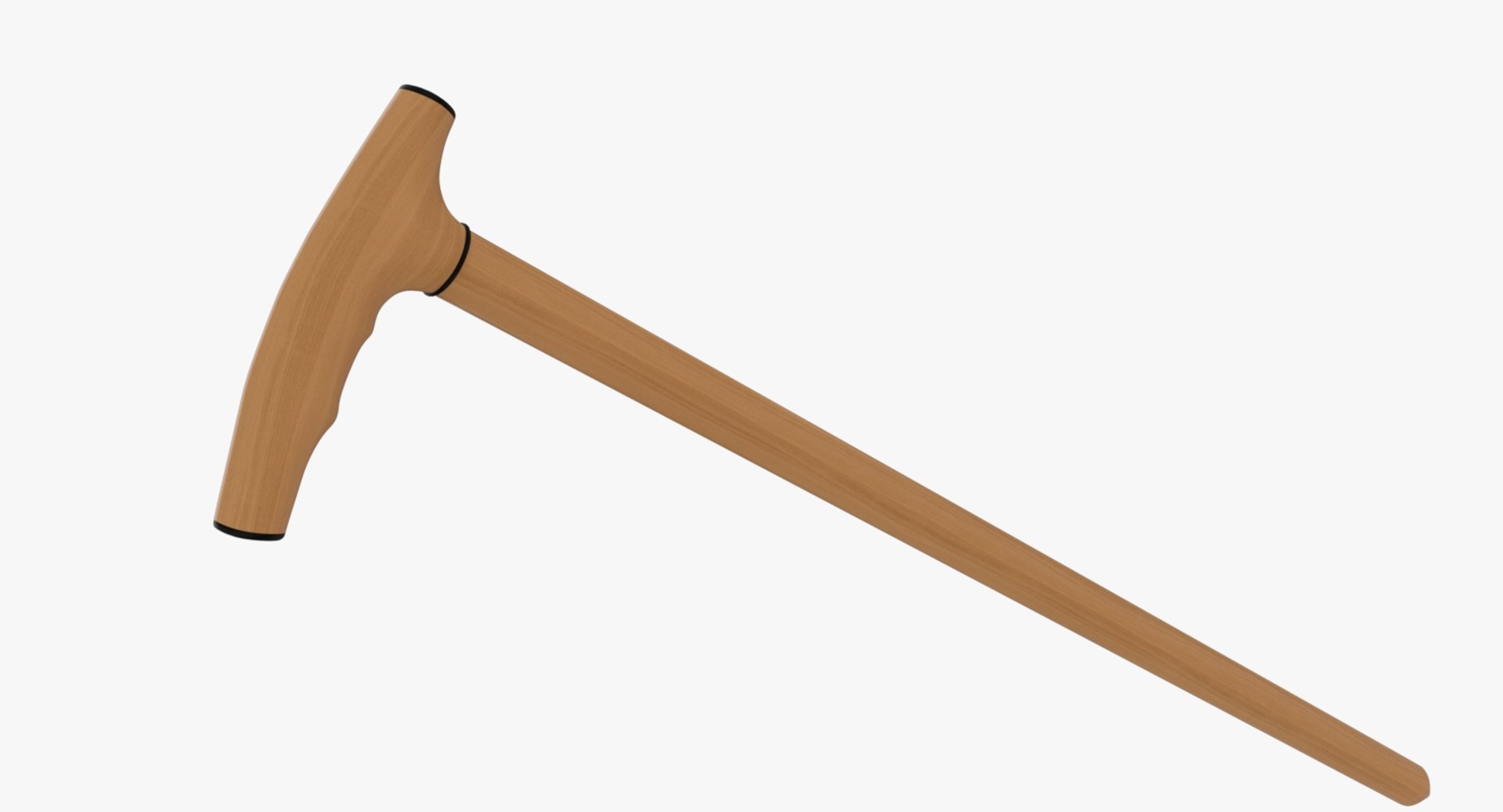 Walking Stick 3d Model