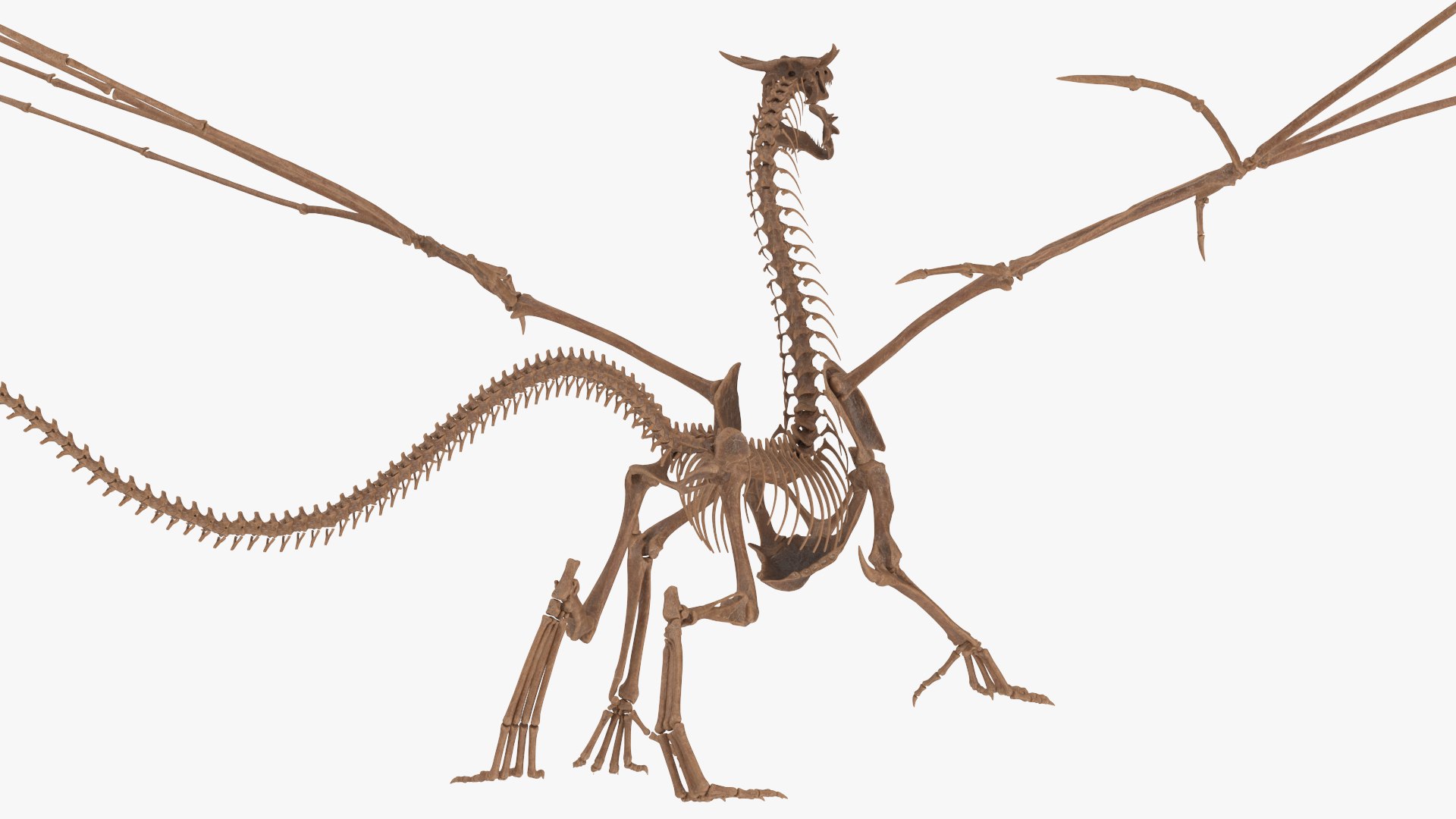 Fossilized Dragon Skeleton Rigged For Maya 3D Model - TurboSquid 2422398