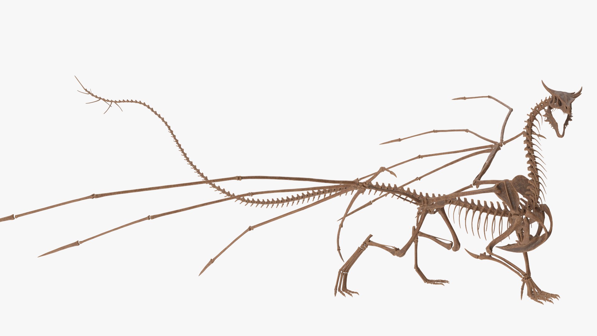 Fossilized Dragon Skeleton Rigged For Maya 3D Model - TurboSquid 2422398