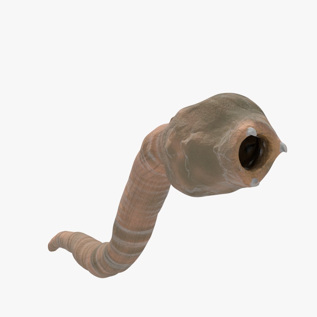 3D Worm Fantasy Model - TurboSquid 1694470