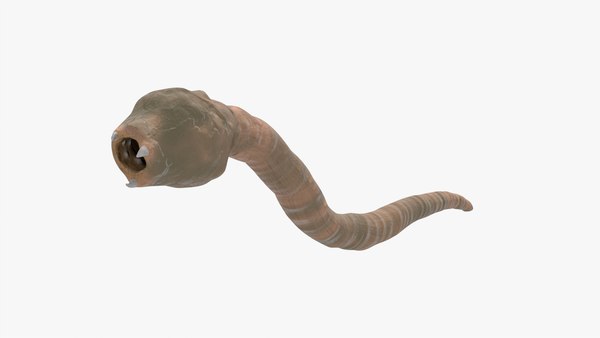 3D worm fantasy model - TurboSquid 1694470