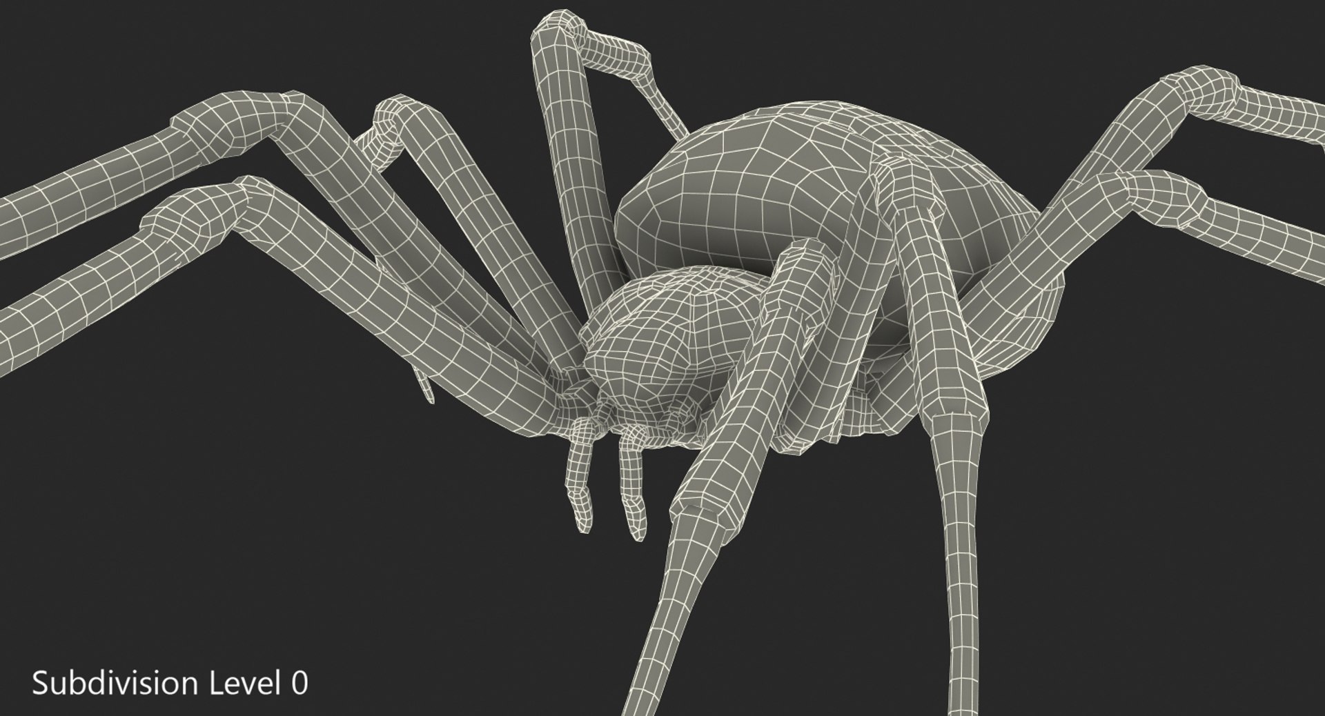 3D argiope aurantia spider rigged model - TurboSquid 1196792