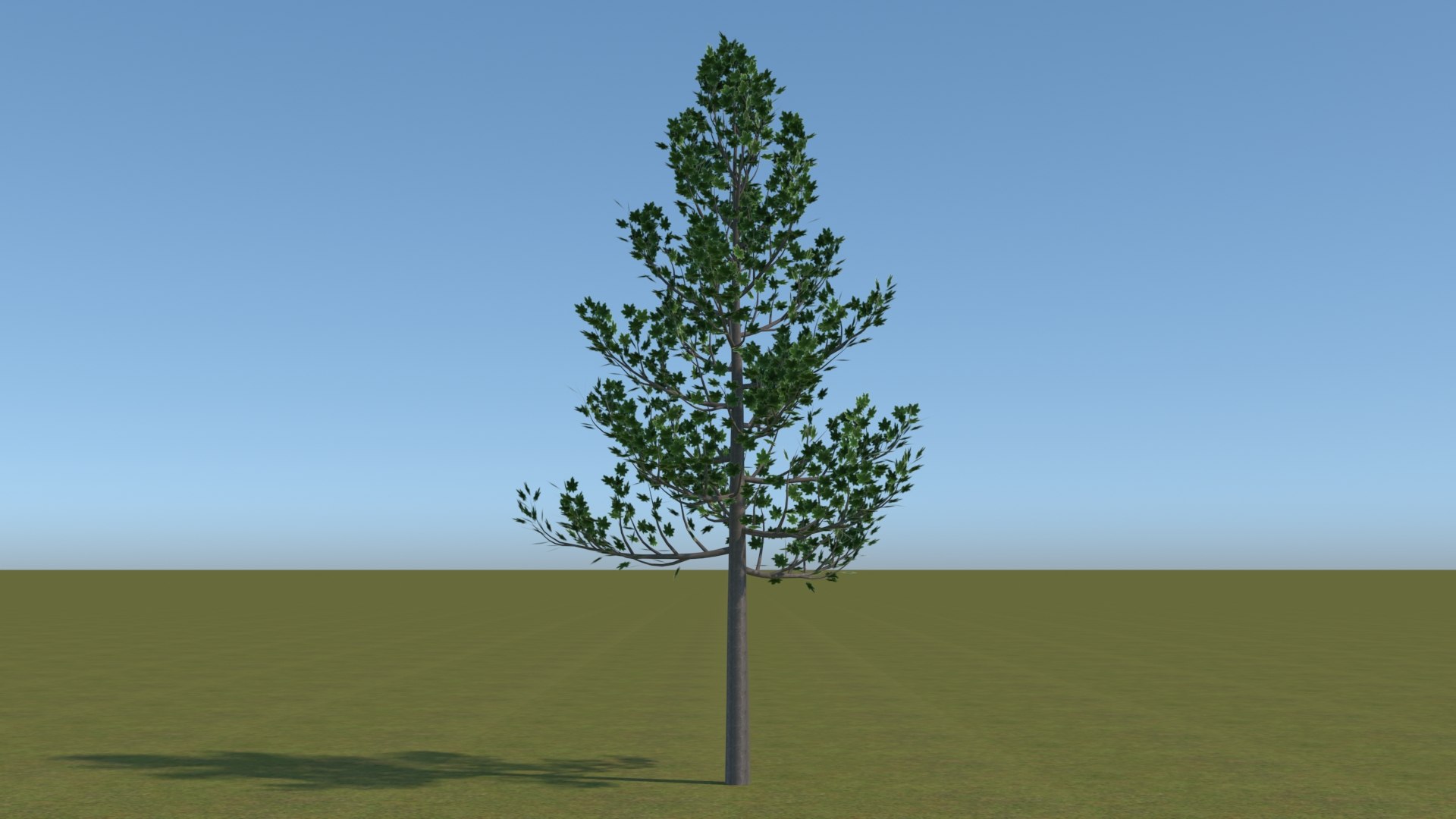 Free Maple Tree 3D - TurboSquid 1471484