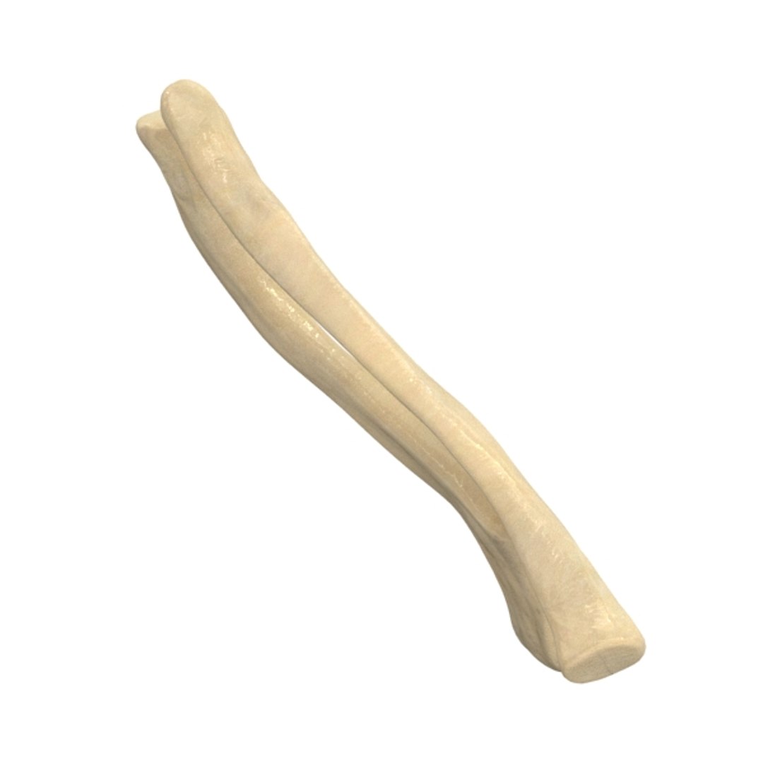 3d clavicle bone