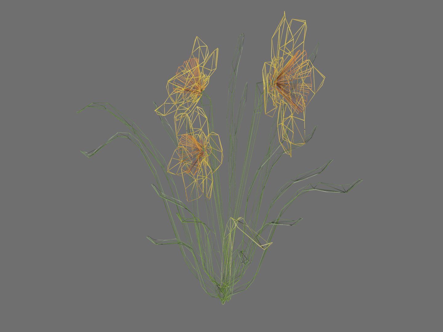 3D Model Daffodil Plant Flowers - TurboSquid 1283099