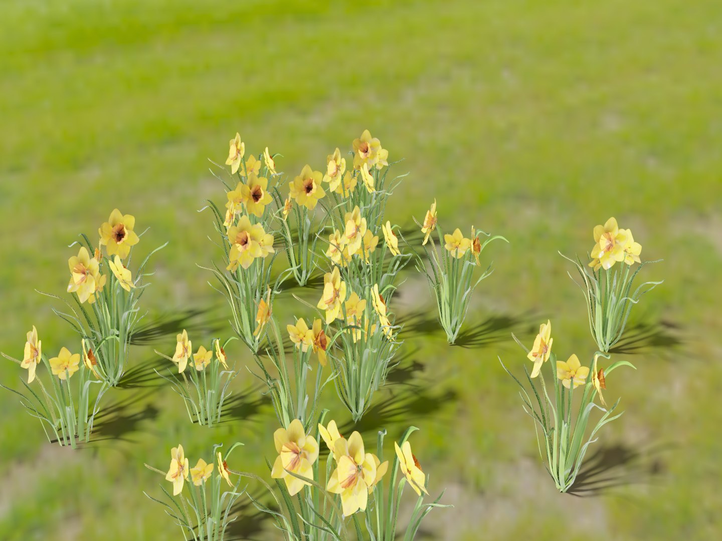 3D Model Daffodil Plant Flowers - TurboSquid 1283099