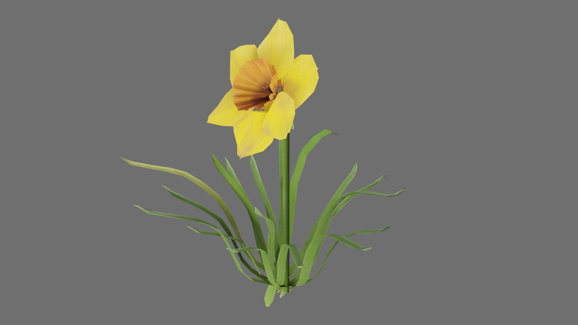 3D Model Daffodil Plant Flowers - TurboSquid 1283099