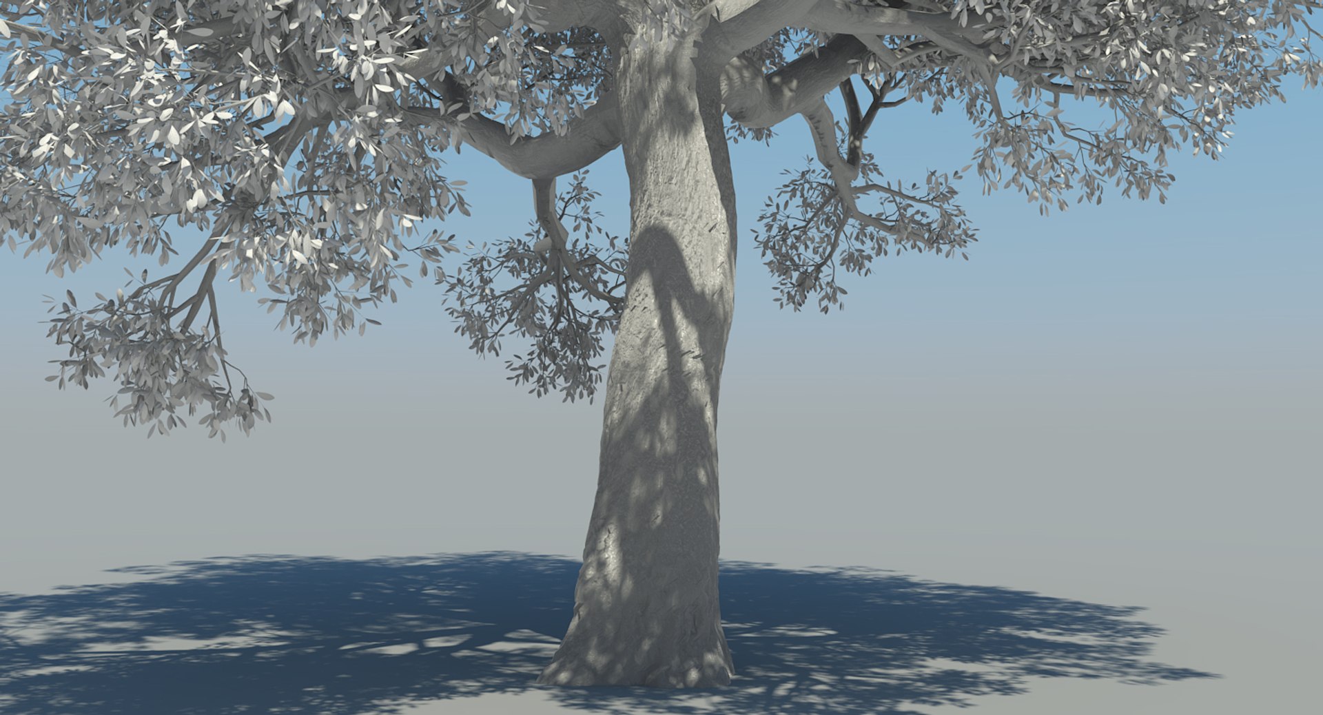 Realistic deciduous tree model - TurboSquid 1294934