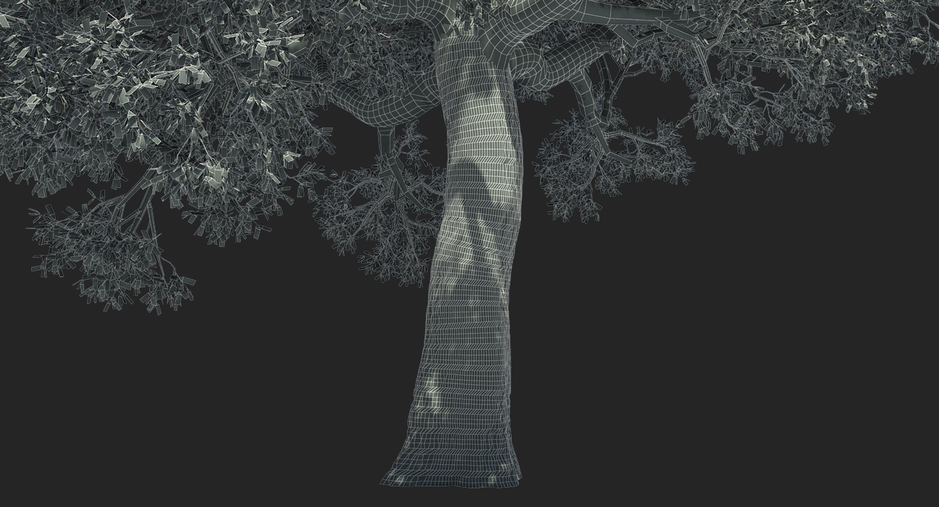 Realistic deciduous tree model - TurboSquid 1294934
