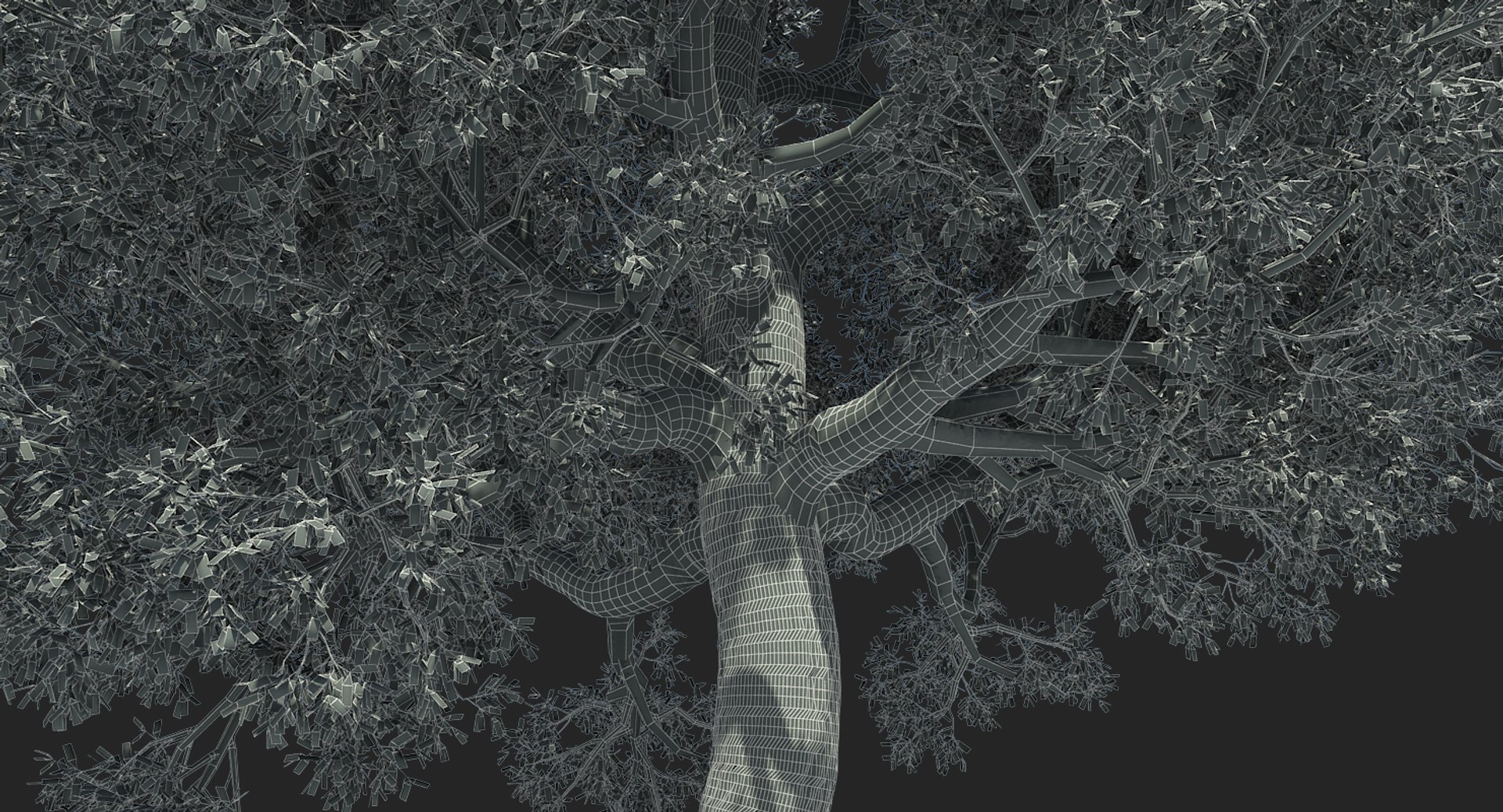 Realistic deciduous tree model - TurboSquid 1294934