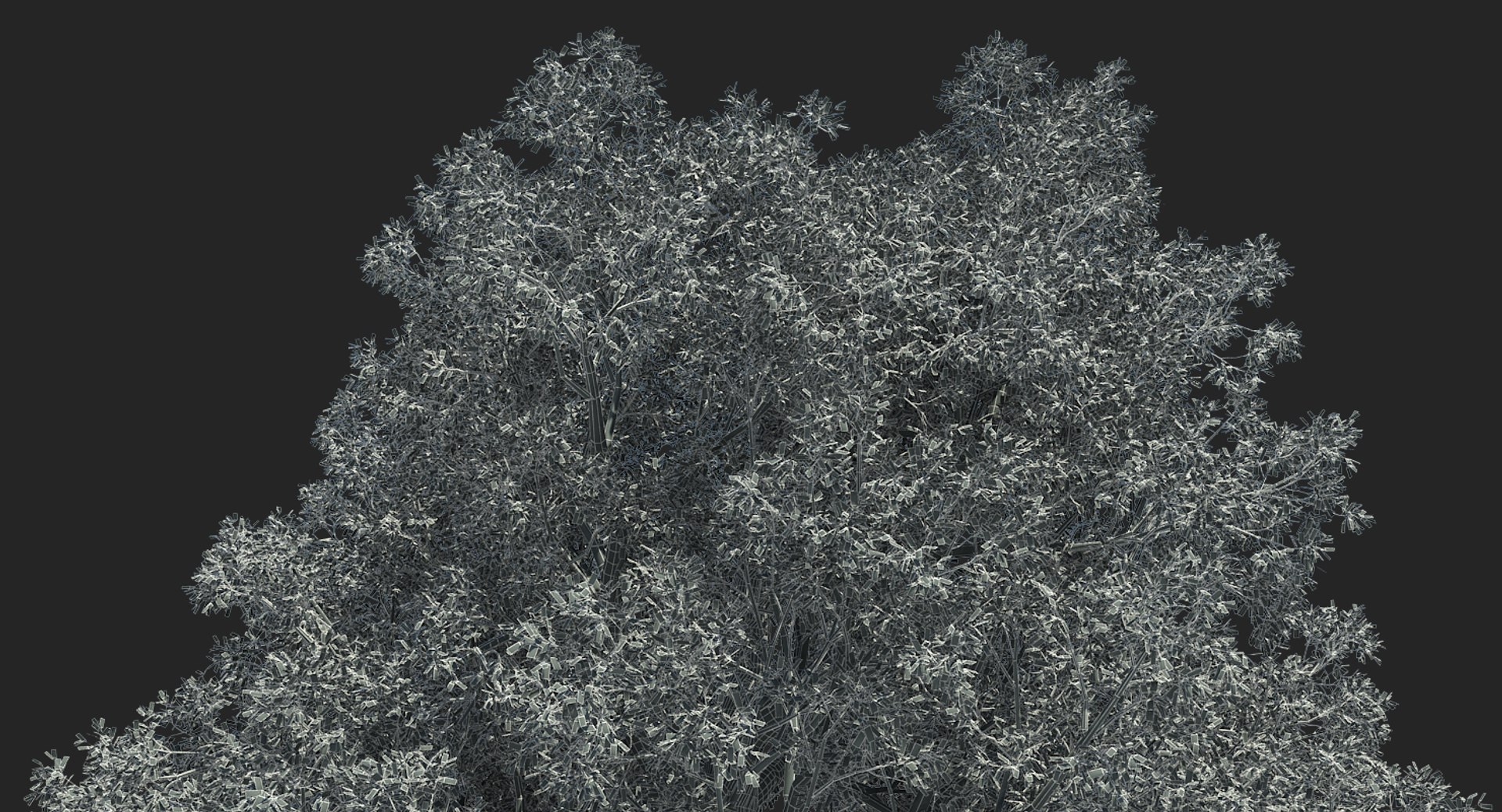 Realistic deciduous tree model - TurboSquid 1294934