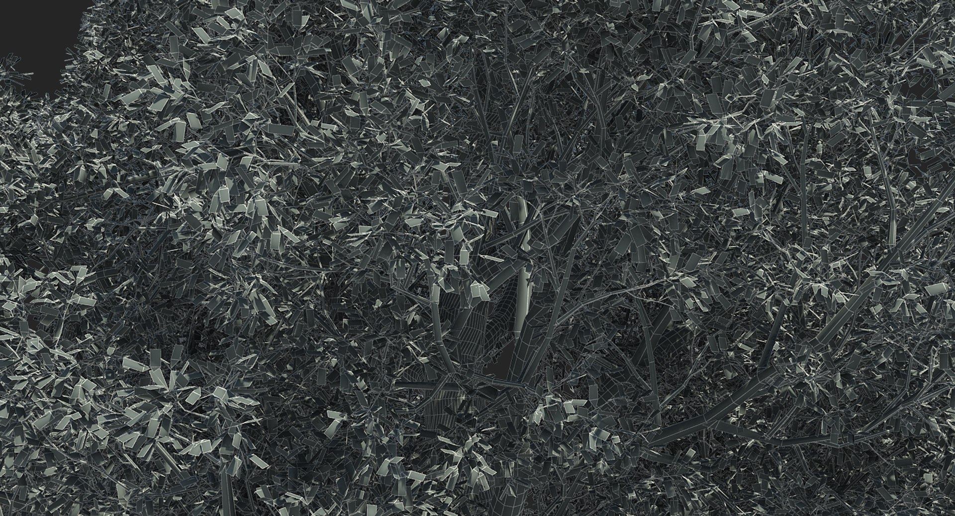 Realistic deciduous tree model - TurboSquid 1294934