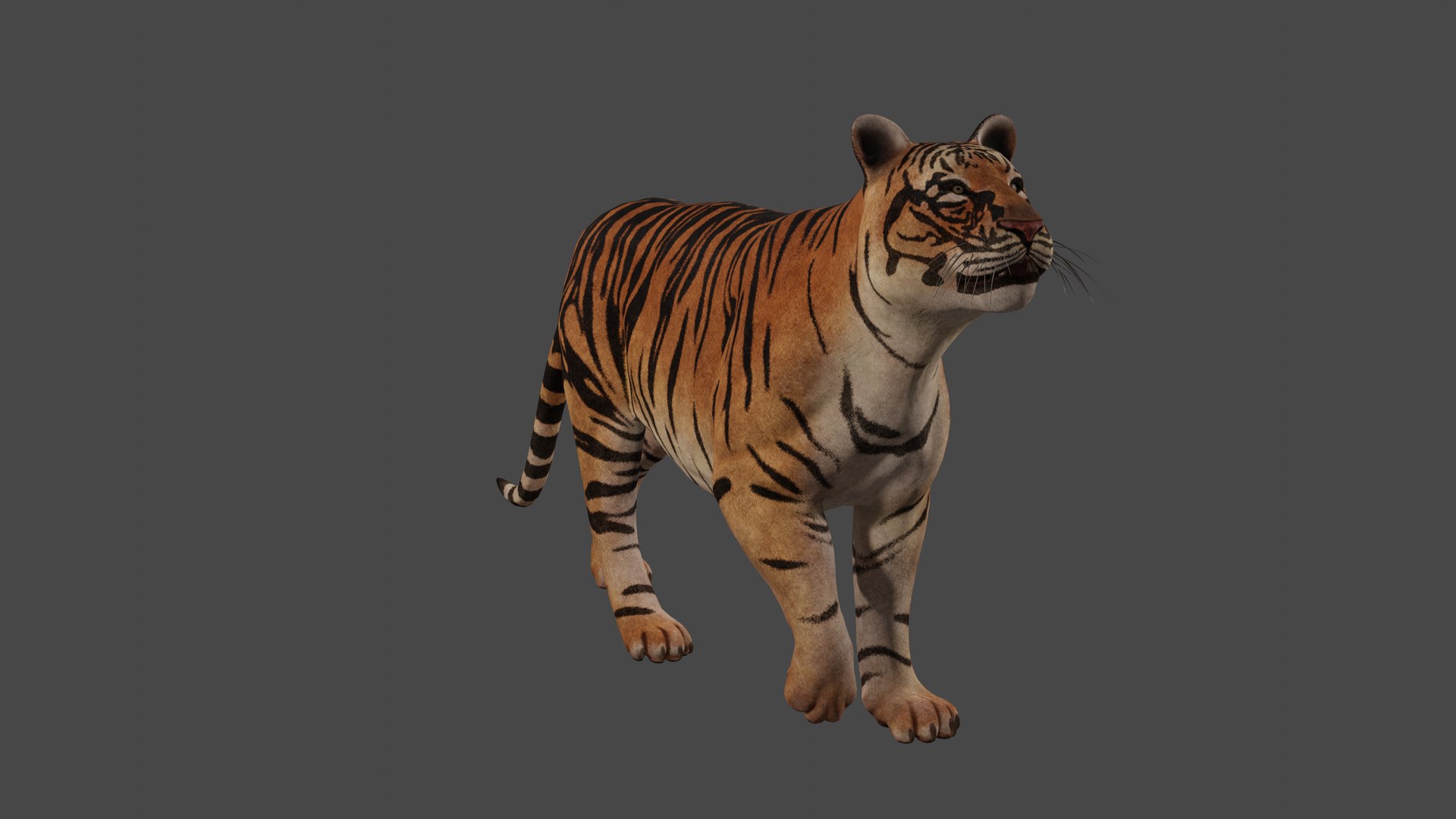 Realistic Tiger Royal Bengal Tiger Low-poly 3D Model 3D - TurboSquid ...