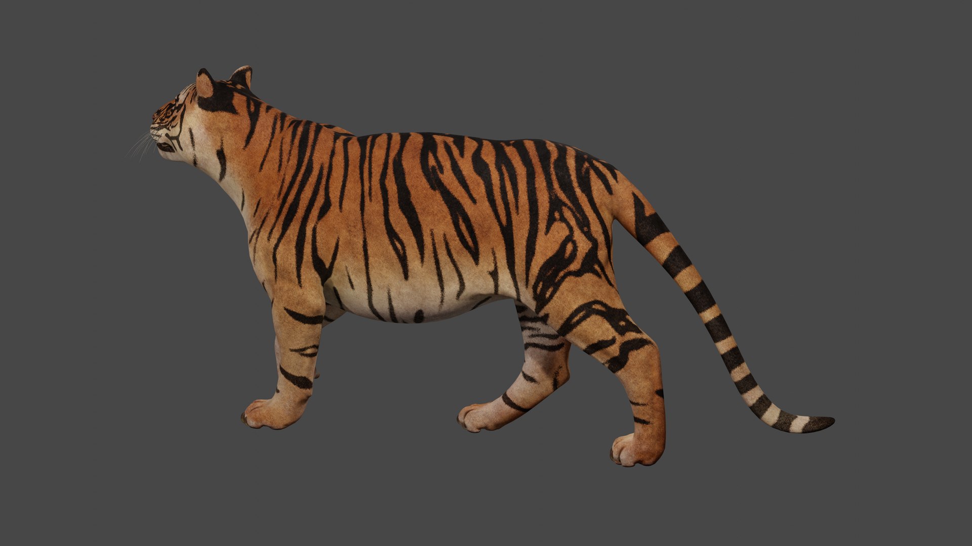 Realistic Tiger Royal Bengal Tiger Low-poly 3D Model 3D - TurboSquid ...