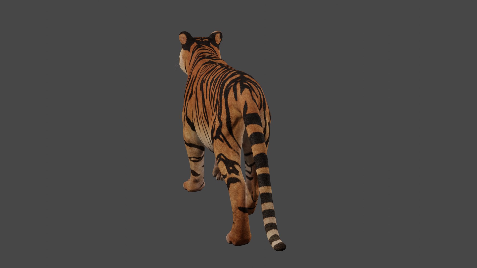 Realistic Tiger Royal Bengal Tiger Low-poly 3D Model 3D - TurboSquid ...