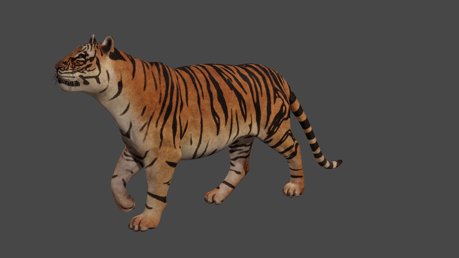 Realistic Tiger Royal Bengal Tiger Low-poly 3D Model 3D - TurboSquid ...