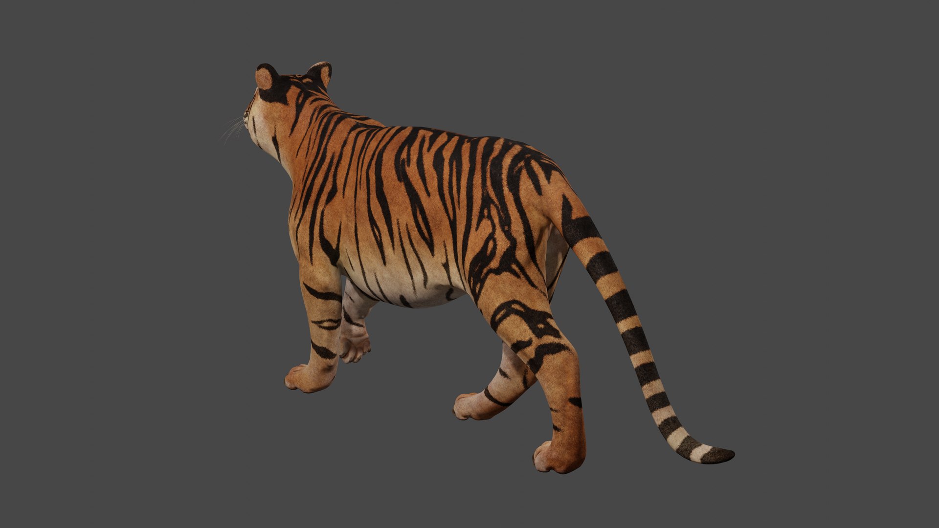 Realistic Tiger Royal Bengal Tiger Low-poly 3D Model 3D - TurboSquid ...