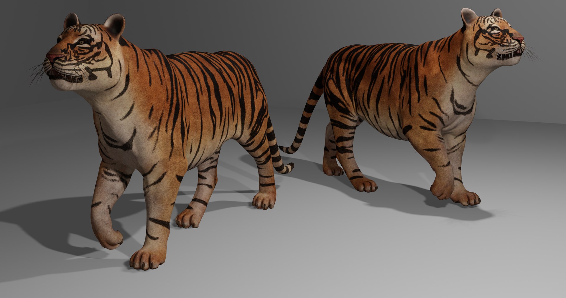 Realistic Tiger Royal Bengal Tiger Low-poly 3D Model 3D - TurboSquid ...