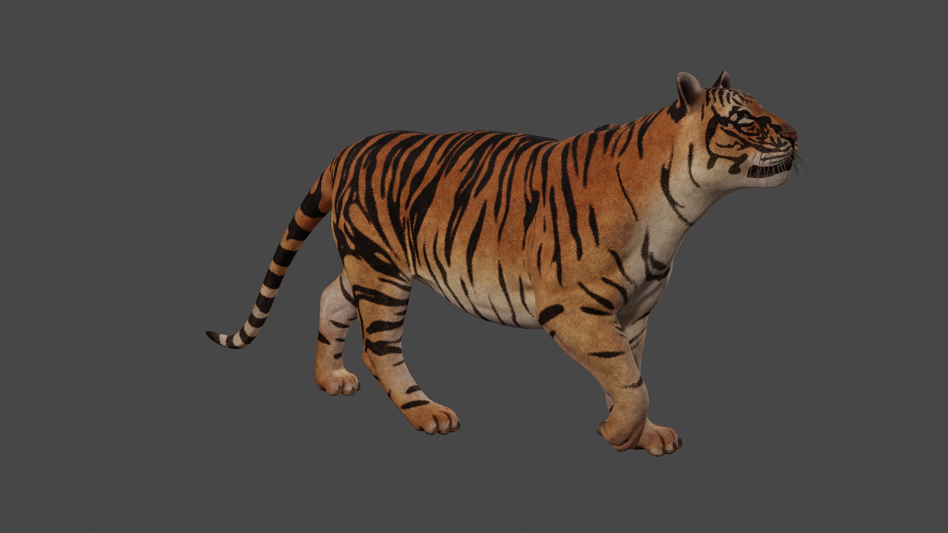 Realistic Tiger Royal Bengal Tiger Low-poly 3D Model 3D - TurboSquid ...