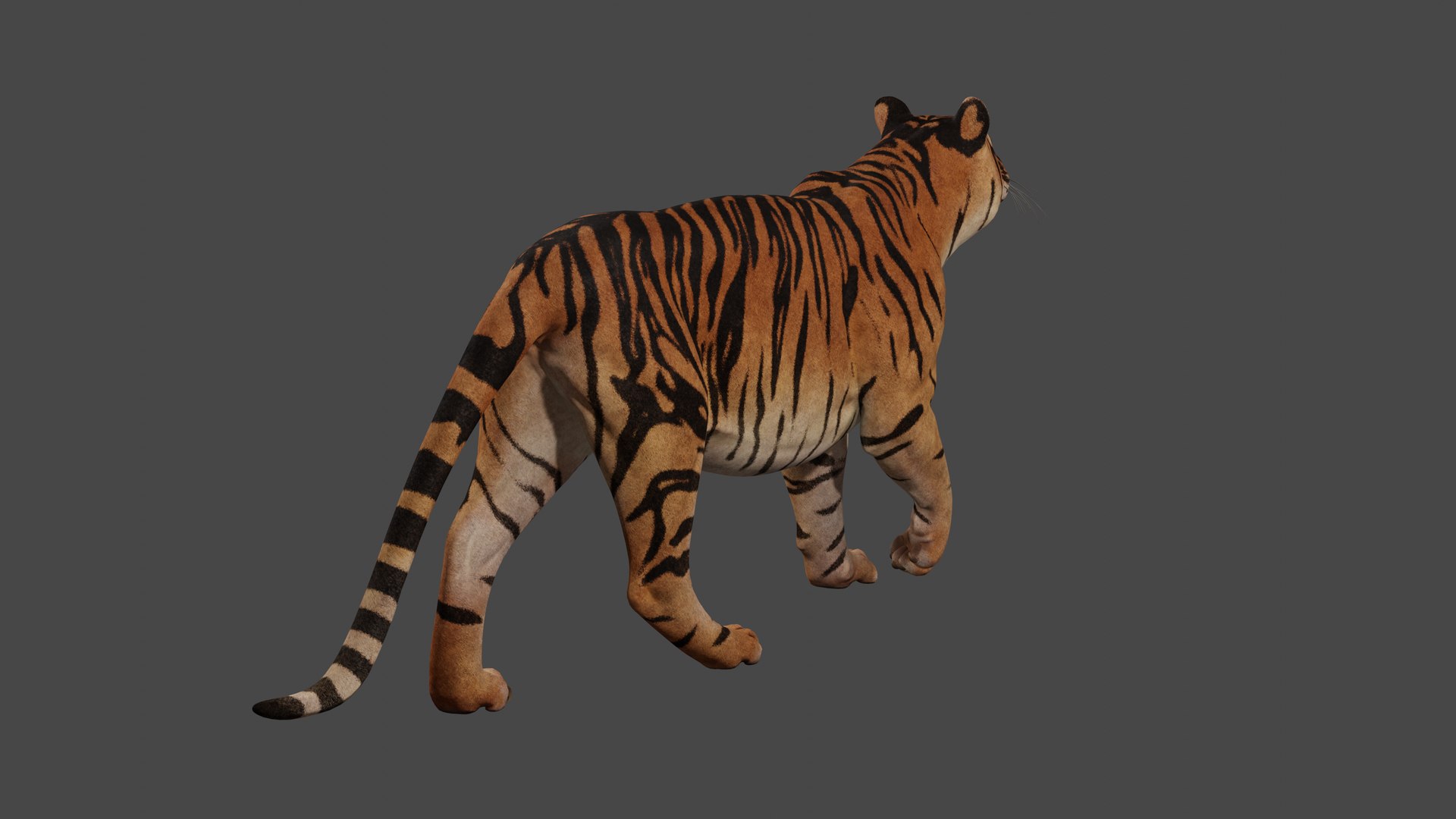 Realistic Tiger Royal Bengal Tiger Low-poly 3D Model 3D - TurboSquid ...