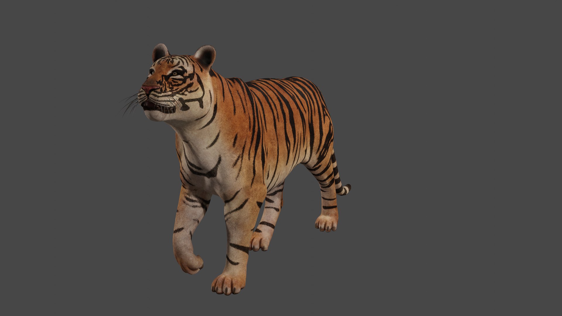 Realistic Tiger Royal Bengal Tiger Low-poly 3D Model 3D - TurboSquid ...
