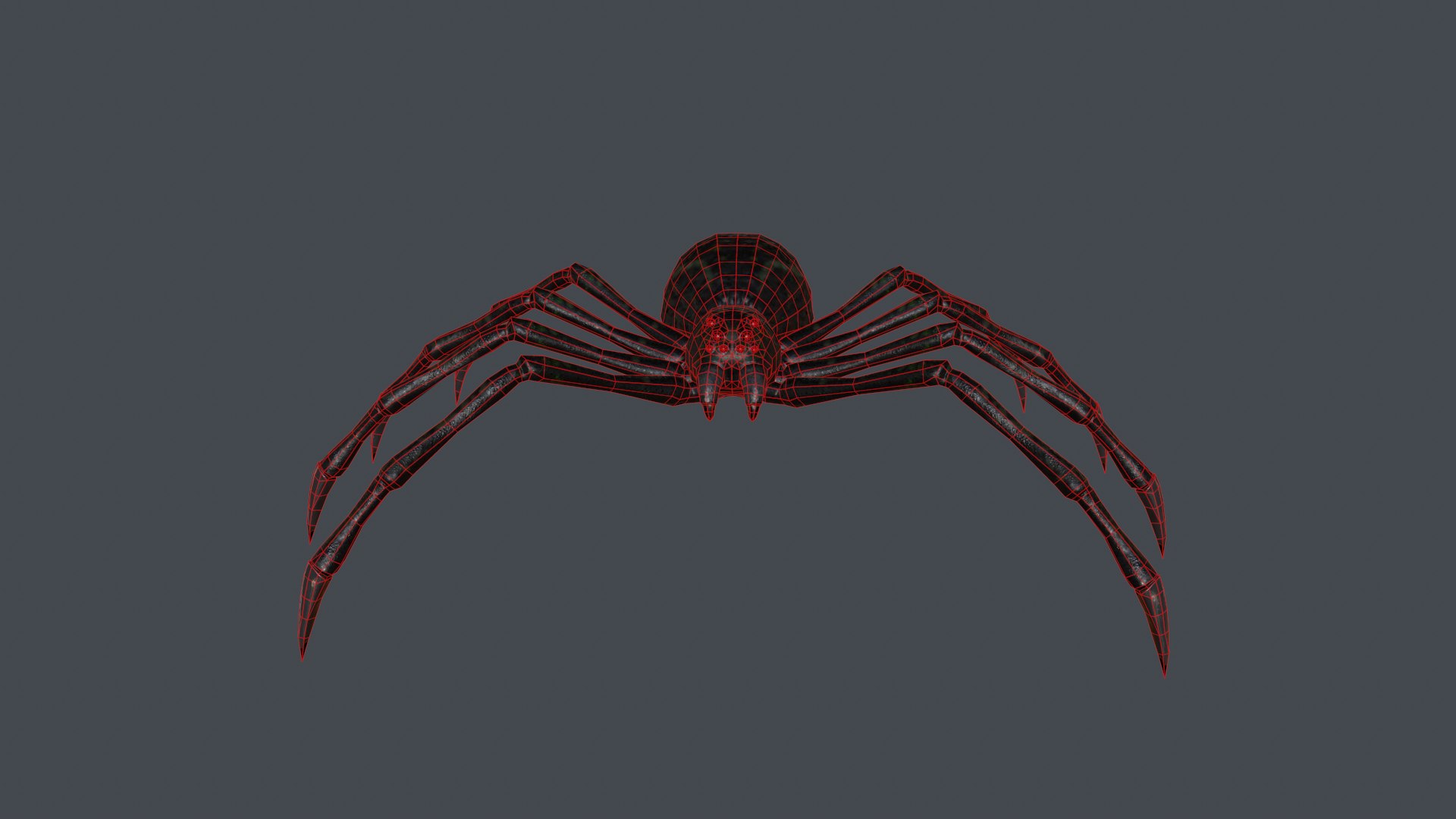Spider 3D Model - TurboSquid 1176717