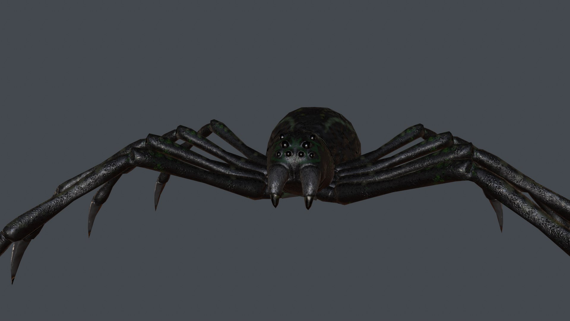 Spider 3D Model - TurboSquid 1176717