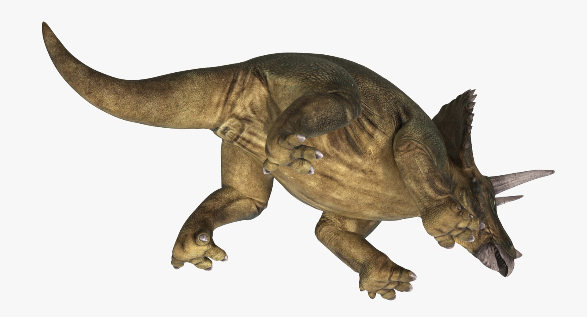 3d Max Triceratops Walking Pose