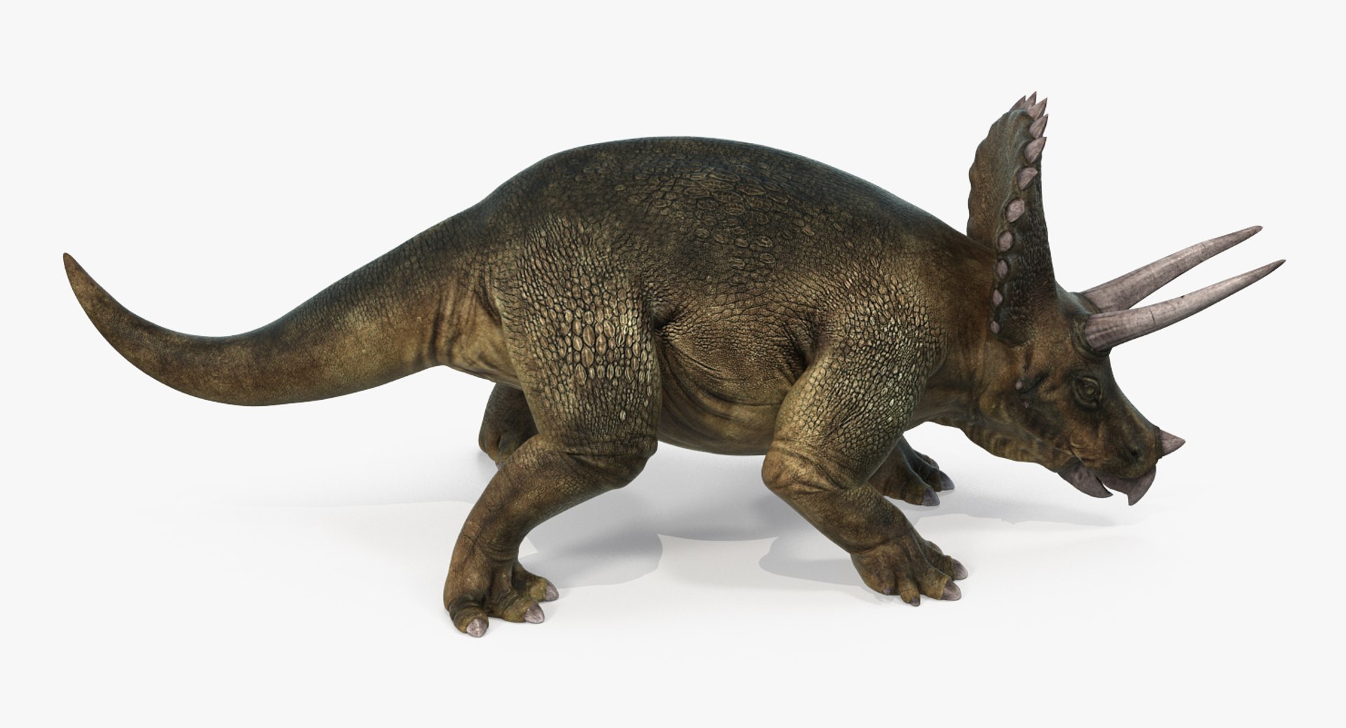 3d Max Triceratops Walking Pose