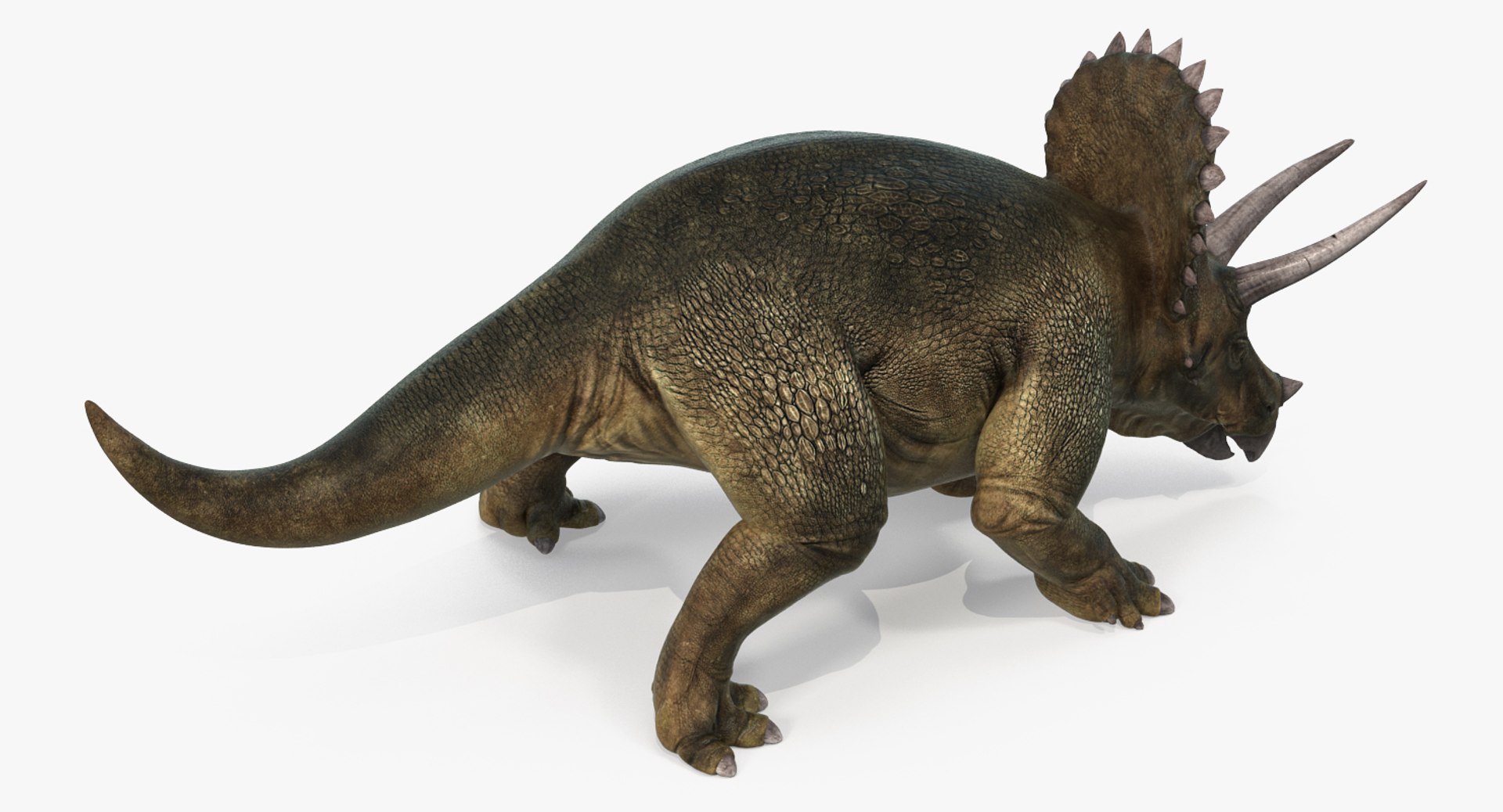 3d Max Triceratops Walking Pose