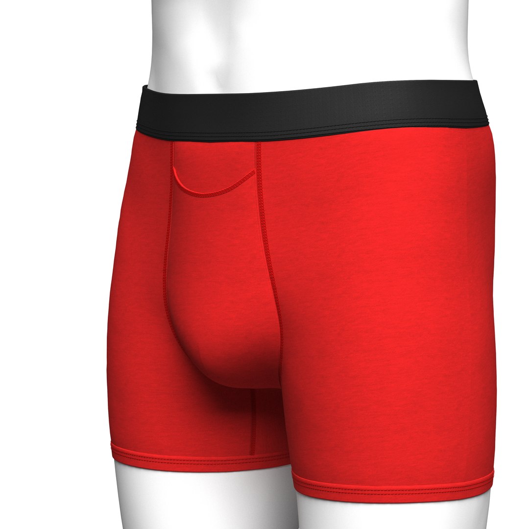 Brief 3D Model - TurboSquid 2250145