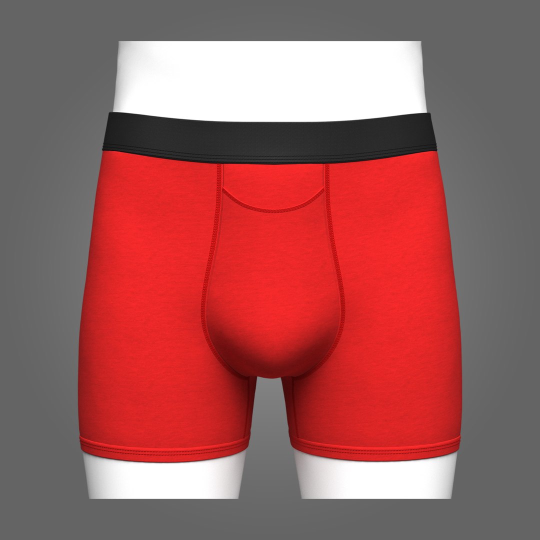 Brief 3D Model - TurboSquid 2250145