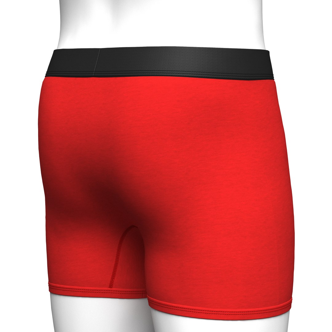 Brief 3D Model - TurboSquid 2250145