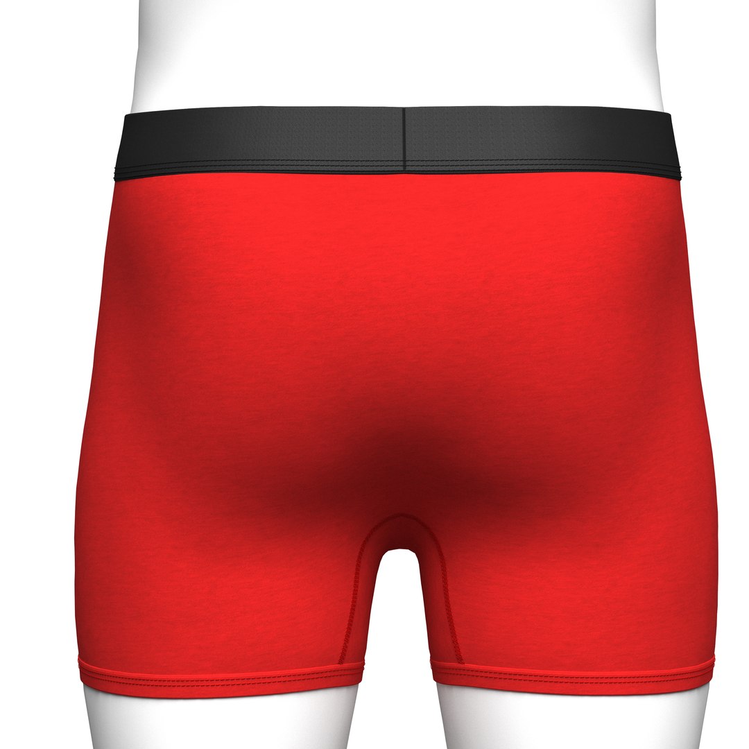 Brief 3D Model - TurboSquid 2250145