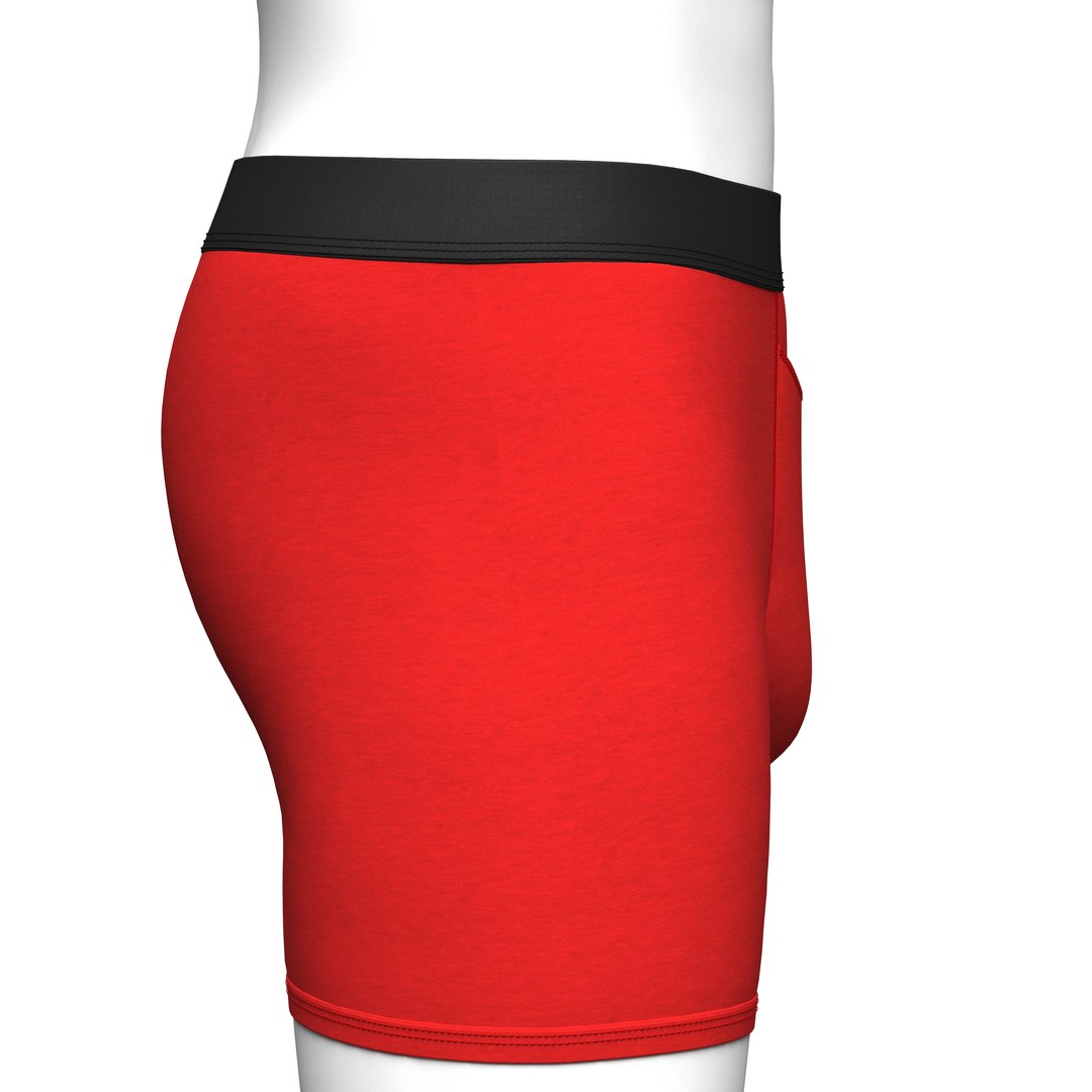 Brief 3D Model - TurboSquid 2250145