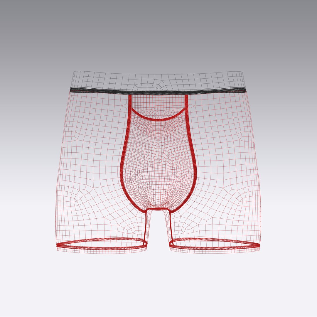 Brief 3D Model - TurboSquid 2250145