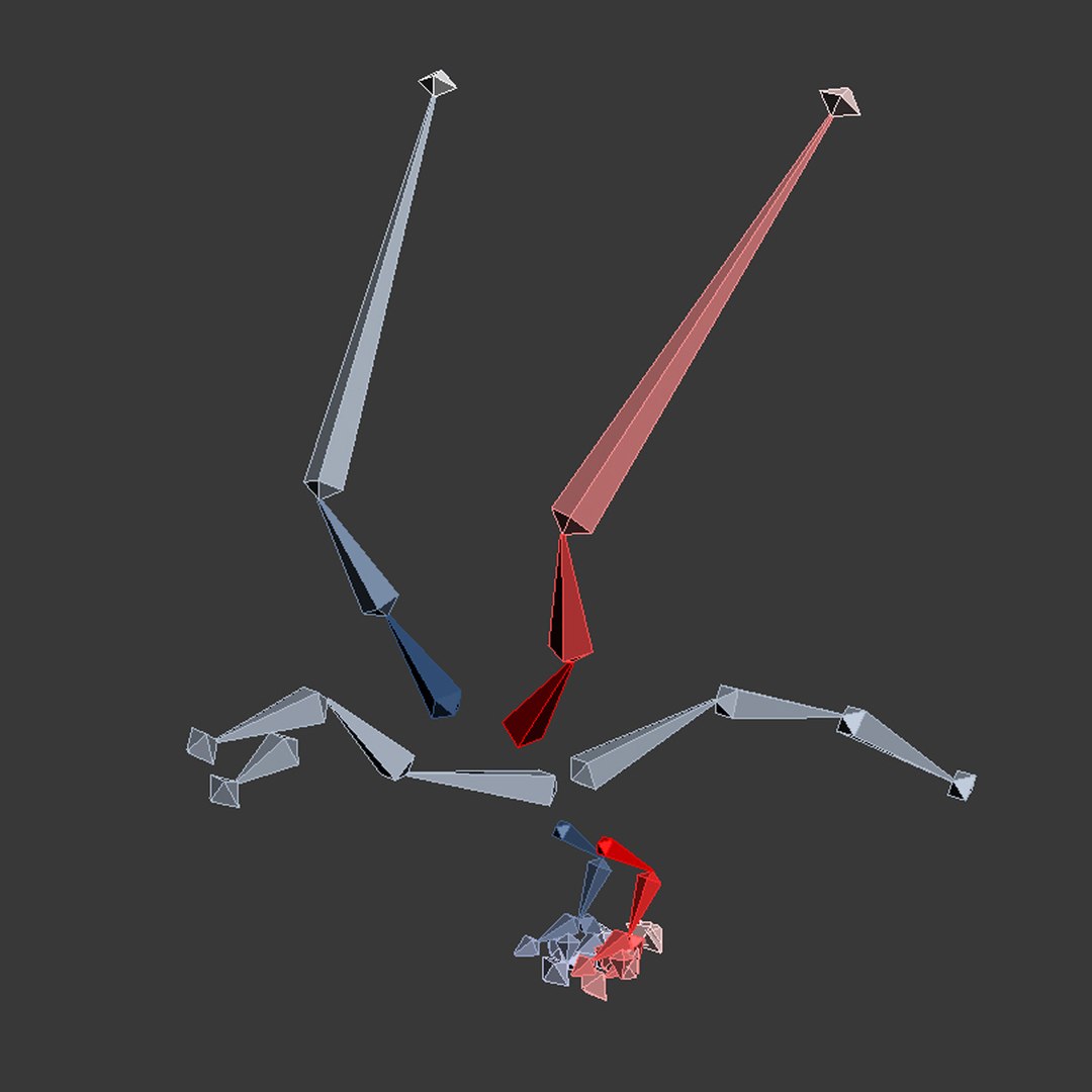 3d Cockatoo Animation Flying Model