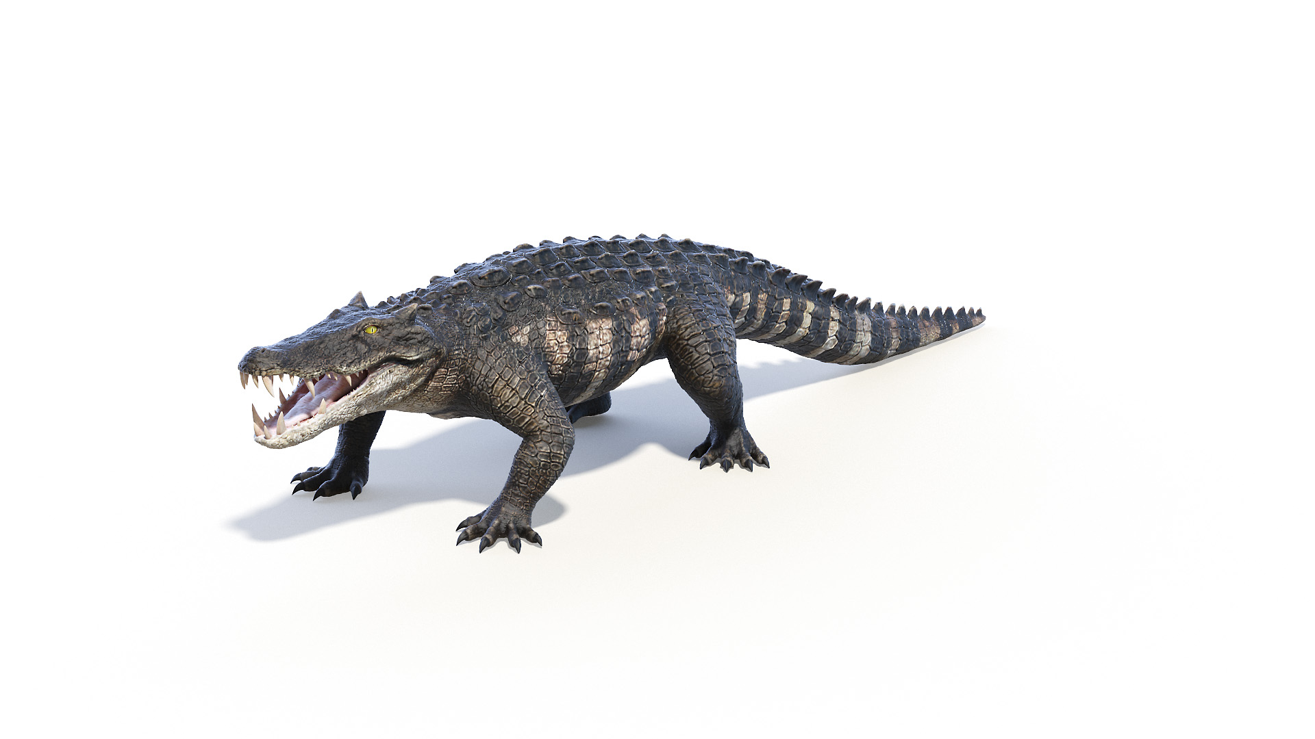 Kaprosuchus Animated 3D Model - TurboSquid 1922961