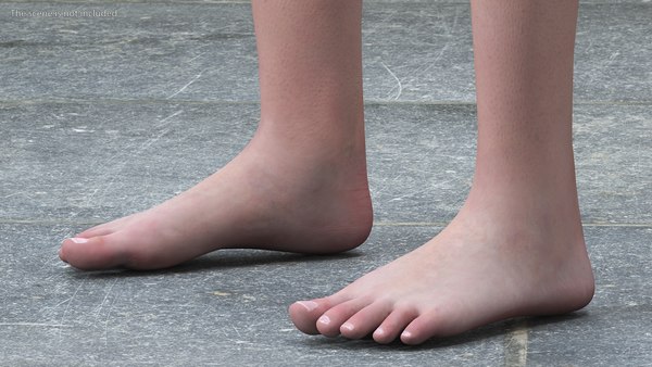 Complete Human Anatomy Collection 3D model - TurboSquid 1981921