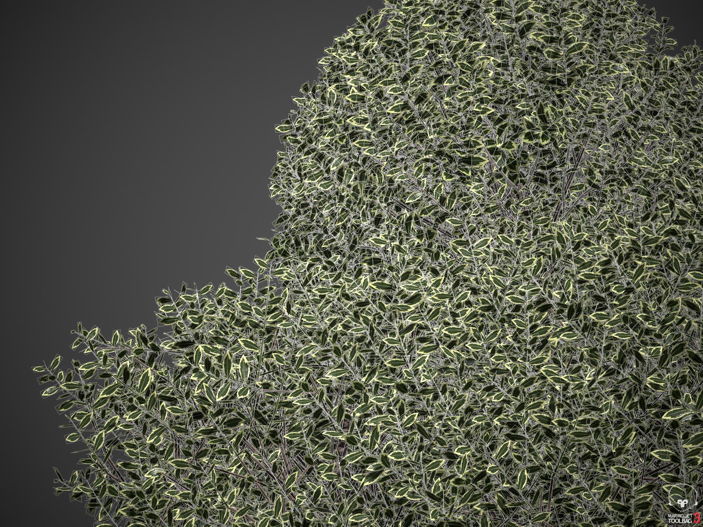 2021 Shrub 3D Model - TurboSquid 1690867