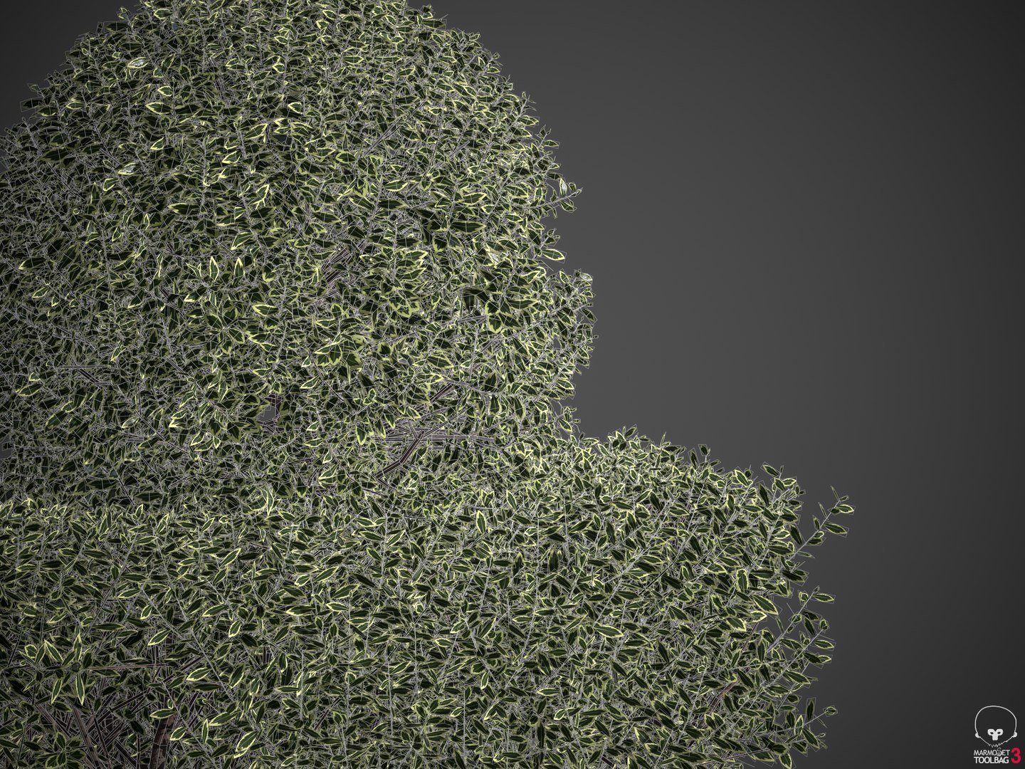 2021 Shrub 3D Model - TurboSquid 1690867