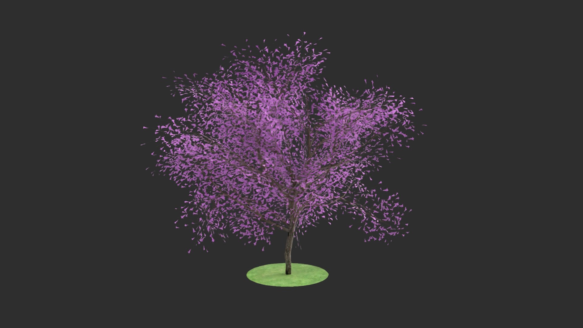 Jacaranda Summer 3D Model - TurboSquid 1619196