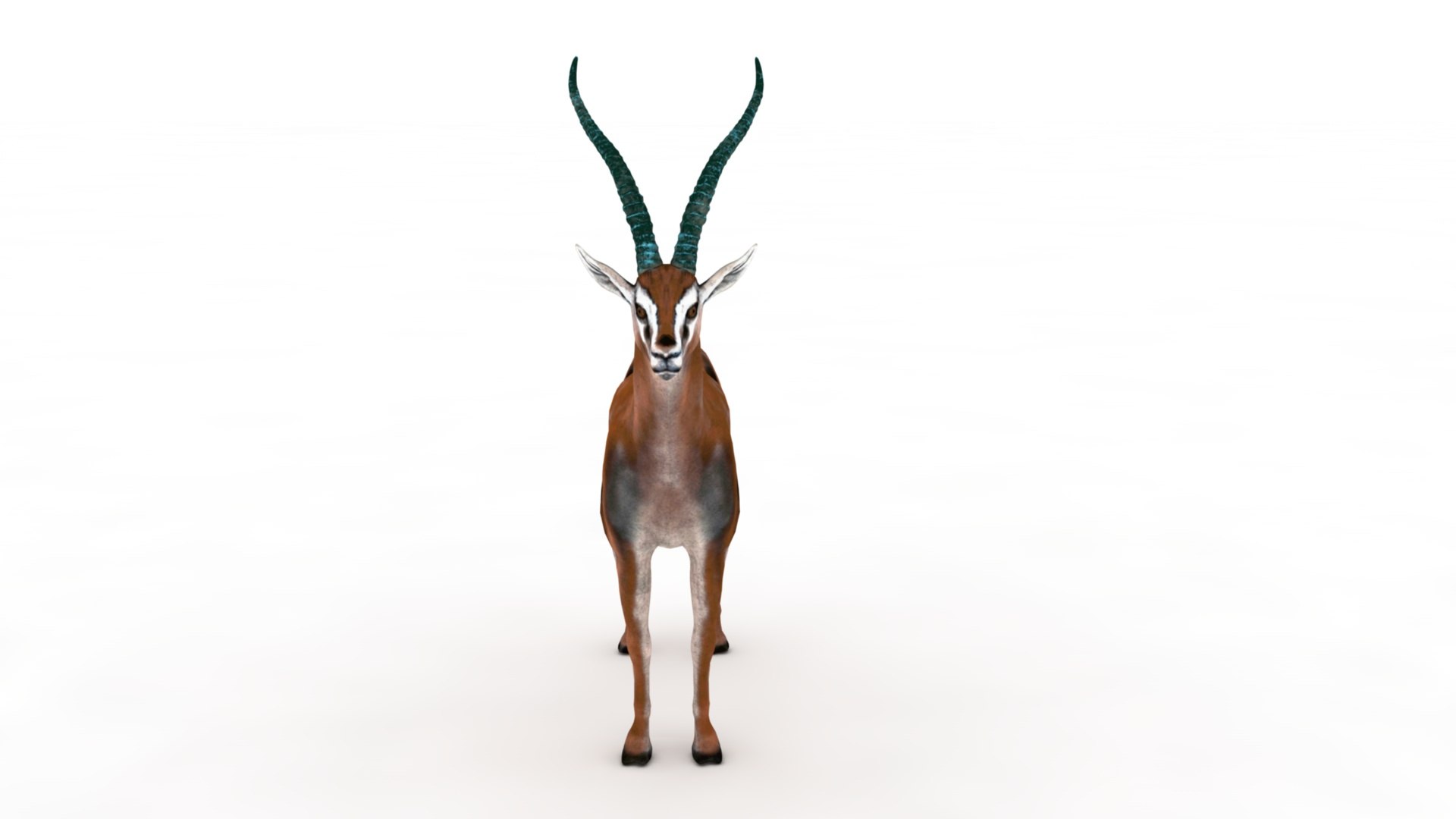 Thomson Gazelle 3D Model - TurboSquid 2349654